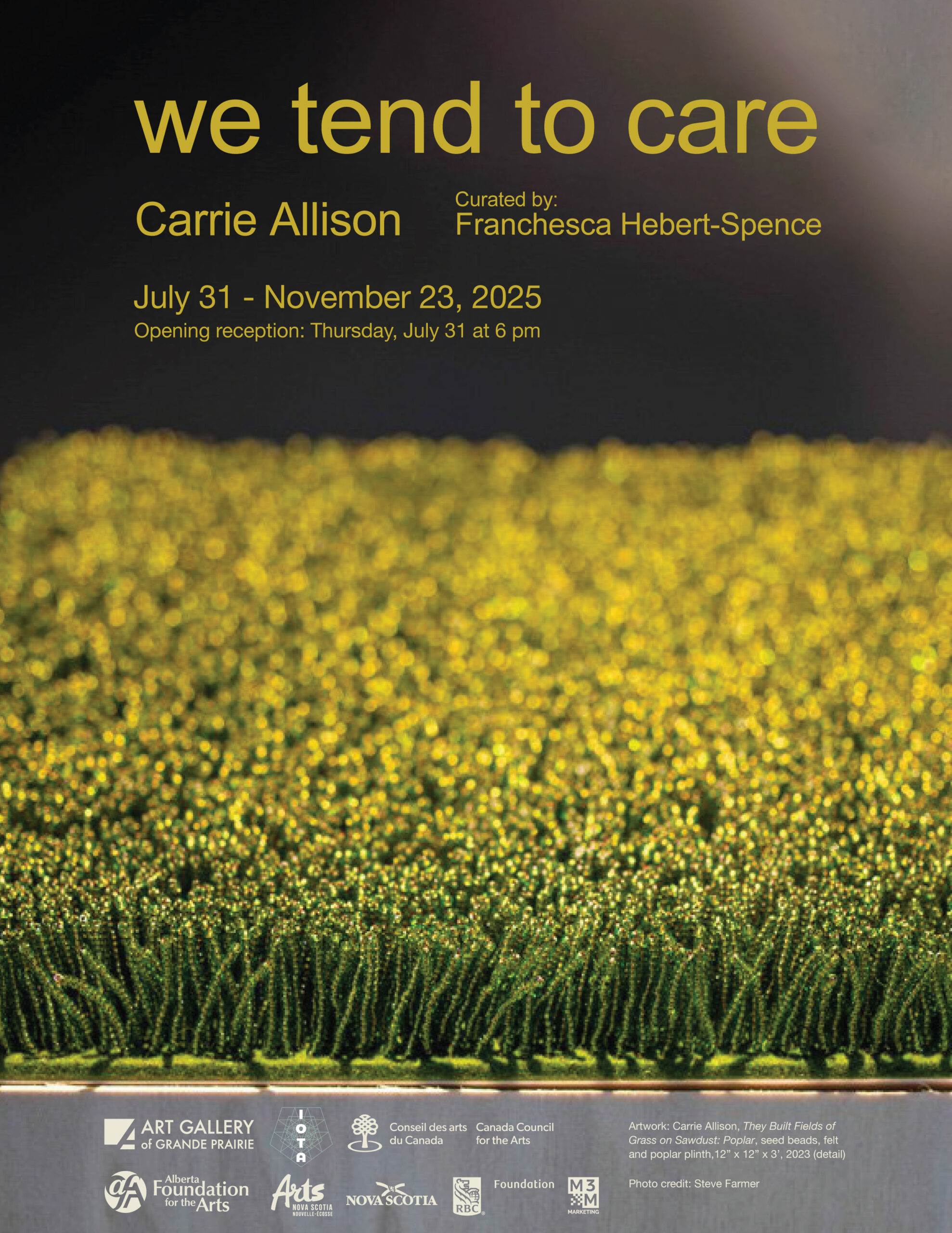 Carrie Allison – Art Gallery of Grande Prairie